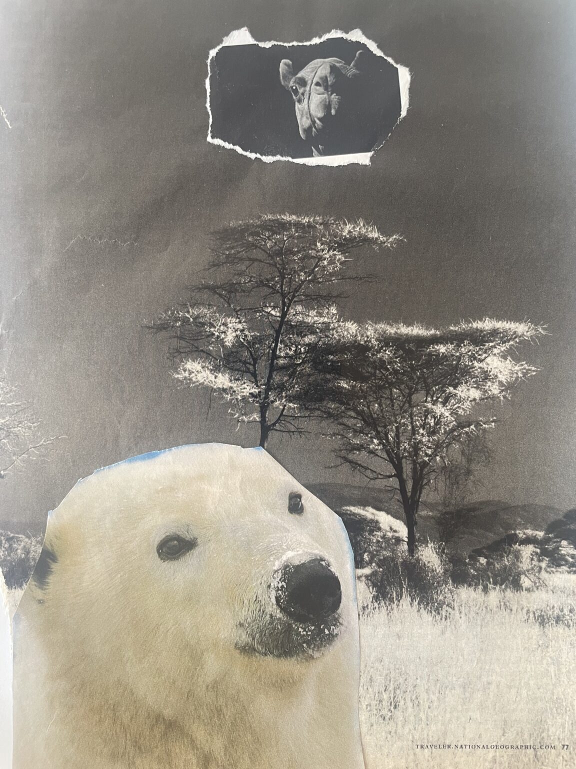 Collage poems - The Chicago Poetry Center